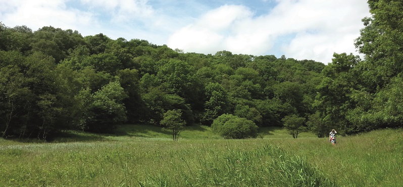 Ashberry Nature Reserve | NYMNP